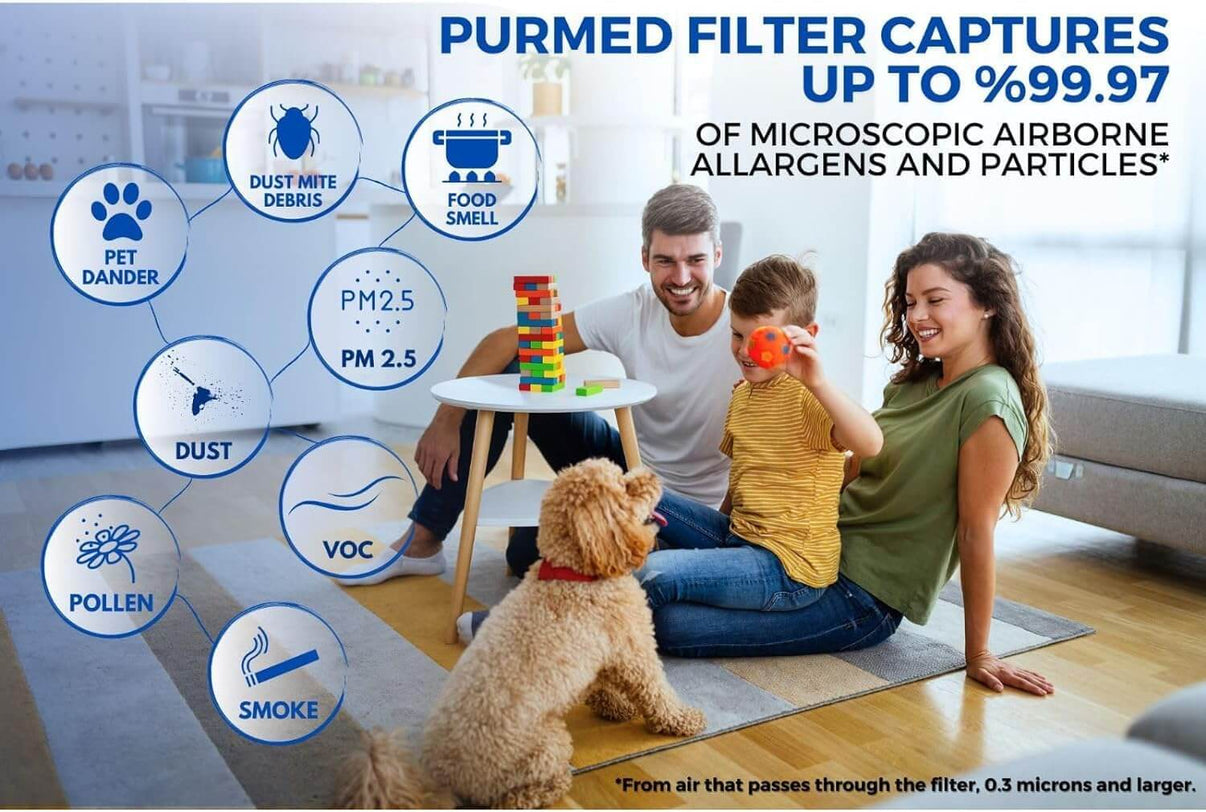 Xiaomi Smart 4 Lite Compatible Replacement Filter (HEPA + Active Carbo ...